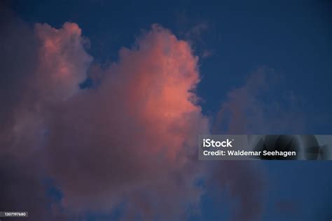 Pink Natural Light On Puffy Cumulus Clouds Individual Denses Clouds