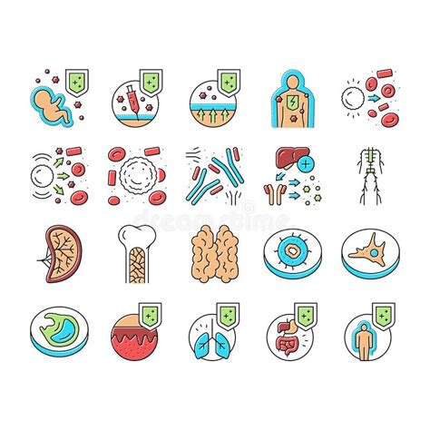 Immune System Disease And Treat Icons Set Vector Stock Vector