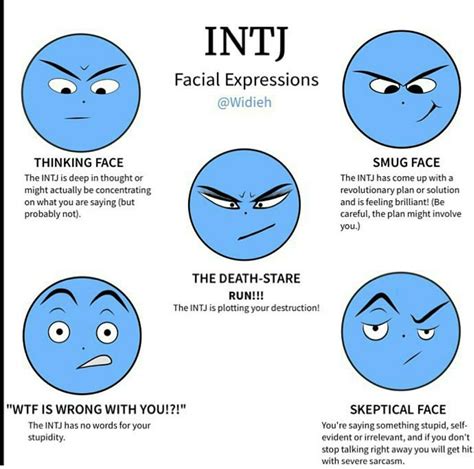 Intj Faces Intj Intj Humor Intj Personality