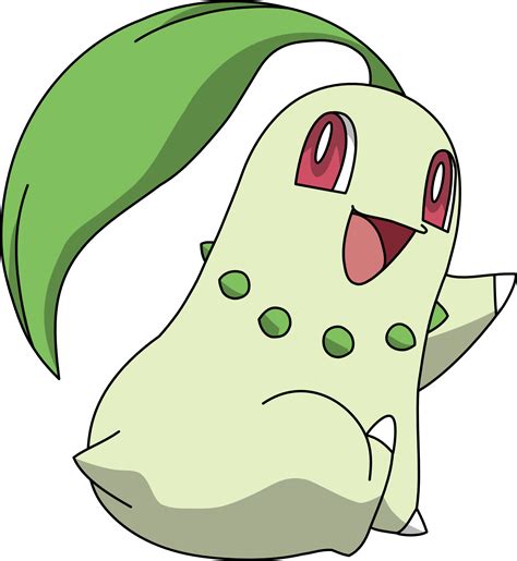 Pokemon Chikorita And Ash