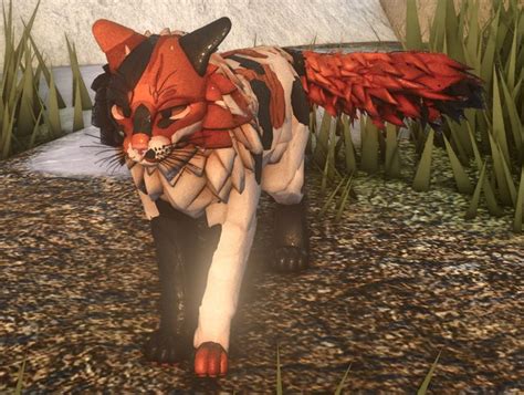 Warrior Cat Oc Ideas
