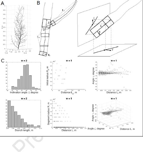 visual structure of a tree and its representation using the structural