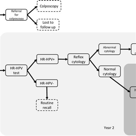 Structure Of The Decision Tree Model To Simulate Primary Hr Hpv Download Scientific Diagram