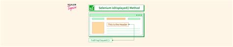 How Does Selenium Isdisplayed Method Work Scaler Topics