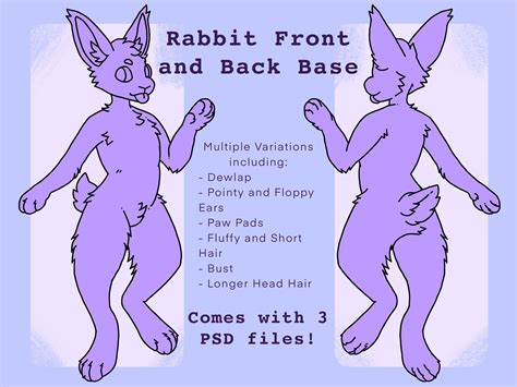 Rabbit Front And Back Furry Base P2u Anthro Bunny Fursona Ref Etsy Uk