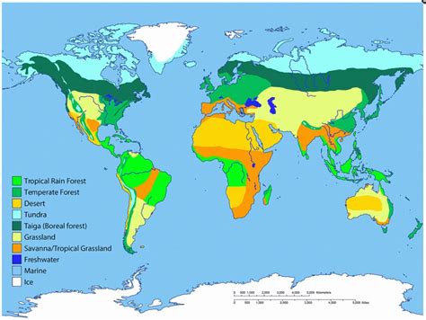 Temperate Rainforest Biome Map