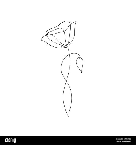 Simple Poppy Flower Art One Continuous Line Art Decorative Poppy Draw