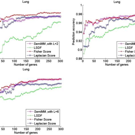 Performance Comparison Of Average Prediction Accuracy Of Binary