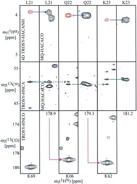 Method Of Assignment Of The Backbone 1 H α 13 C 13 C α And 15 N Download Scientific Diagram