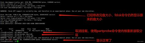 Linux磁盘扩容（2t以上partedgpt分区）扩容大于2t硬盘 Csdn博客
