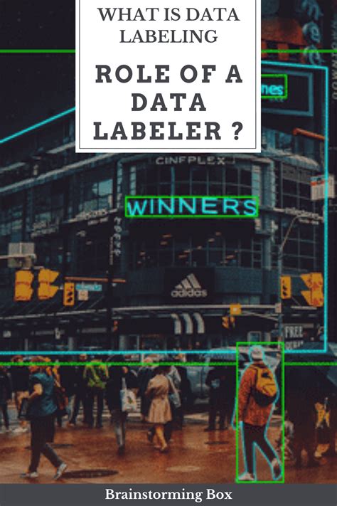 What Is Data Labeling And What Is The Role Of A Data Labeler What Is