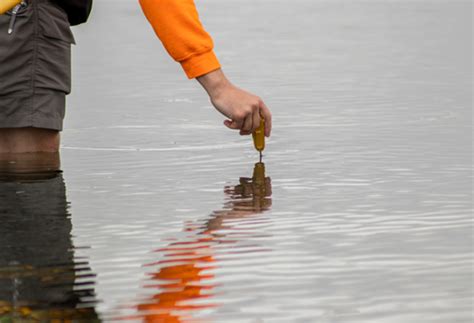 Microbial Source Tracking Unmasking The Source Of Water Pollution
