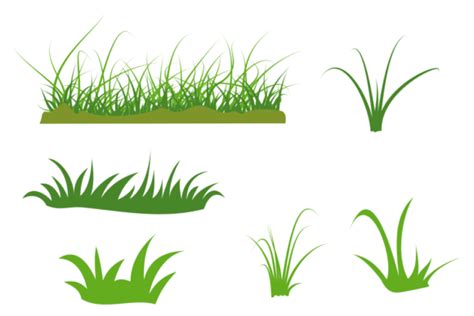 Grass Graphic By Cyudeshbuhu · Creative Fabrica