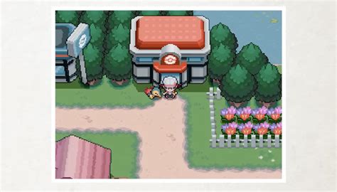 Whats The Name Of This Rom Hack Patch R PokemonROMhacks