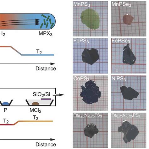 Schematic Views Of The A Cvt And B Cvd Synthesis For Bulk Mpx3