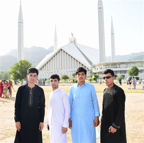 ملګری دی ژوندی وی