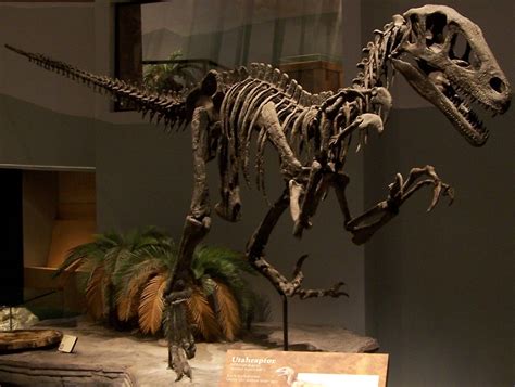 Utahraptor Prehistoric Monsters Wiki Fandom Powered By Wikia