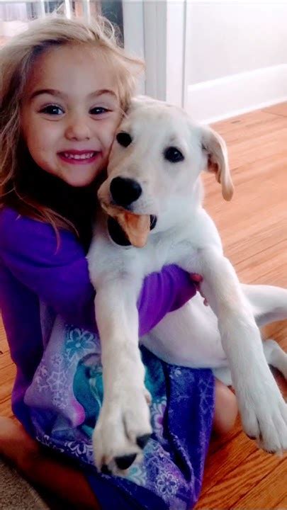 Mozzies 15 Min Trailer Youtube