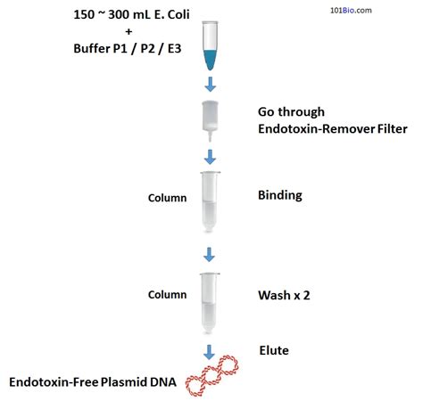 Endotoxin Free Plasmid Dna Maxiprep Kit Endofree Plasmid Dna Purification Kit