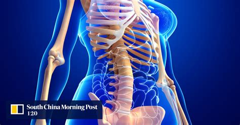 How To Prevent Osteoporosis A Loss Of Bone Density And Why It Is Key To Ageing Well South