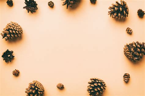 컬러 배경에 최소한의 창조적 인 원뿔 프레임 배열 패턴 플랫 레이 상단 보기 복사 공간이 있는 크리스마스 배경 0명에 대한 스톡 사진 및 기타 이미지 Istock