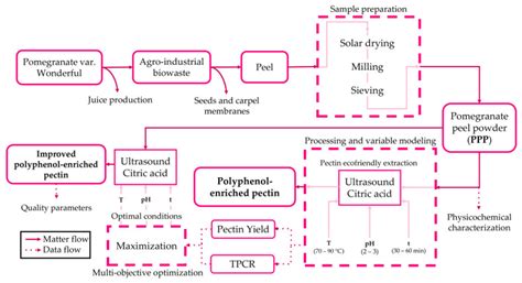 Polyphenol Enriched Pectin From Pomegranate Peel Multi Objective