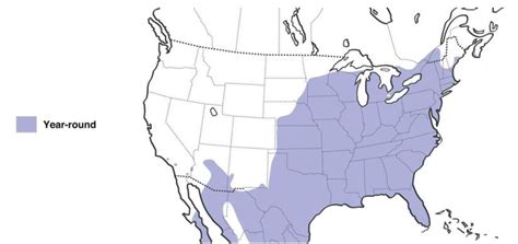 14 Types Of Red Birds Found In Canada Id Guide Bird Watching Hq