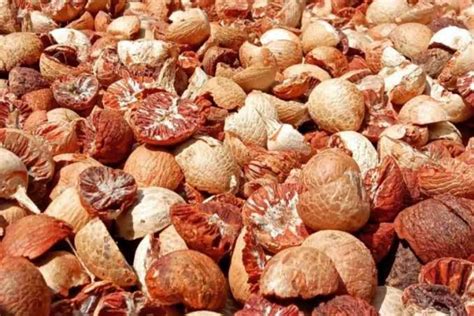 Harga Pinang Kering Di Riau Cenderung Stabil