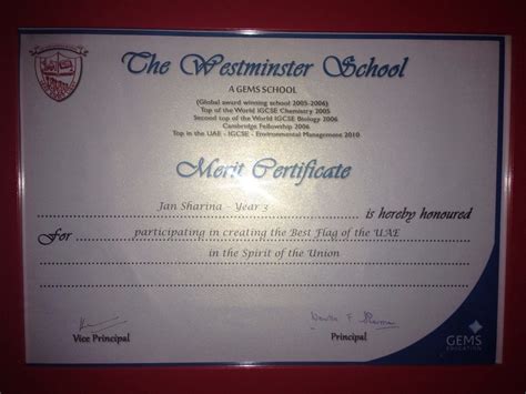 My Goals And Achievements Gamma Captain