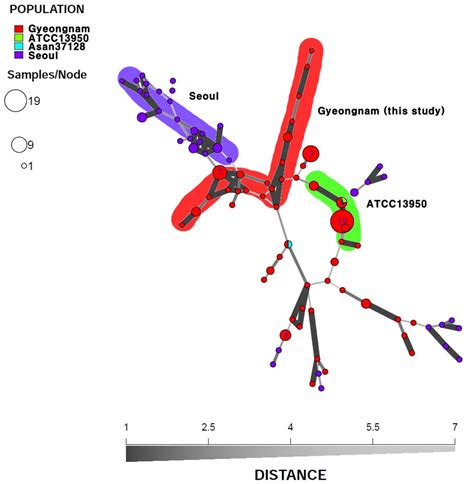Microorganisms Free Full Text Comparative Evaluation Of Band Based