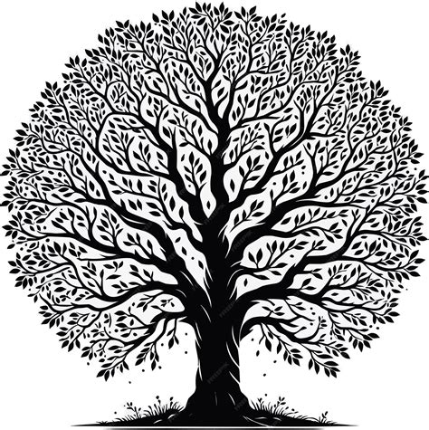 Силуэт дерева черно белый рисунок Премиум векторы