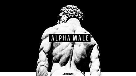 Top 25 Quotes About Pushing Through The Strive