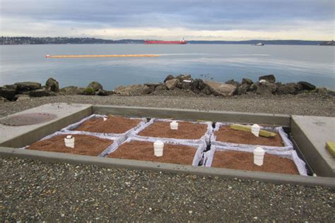 First Industrial Installation Of Modular Wetland In The Pacific