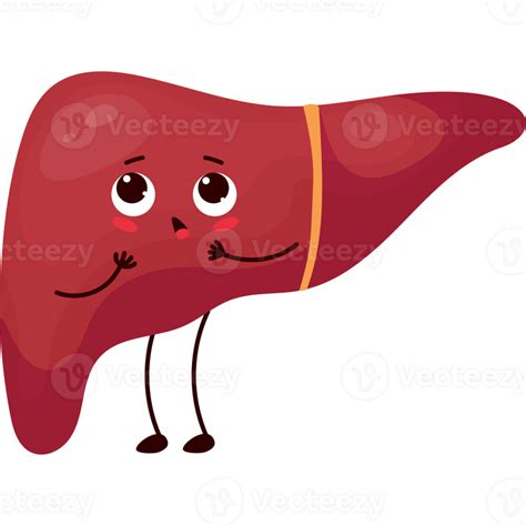 sorprendido dibujos animados hígado 23254399 PNG
