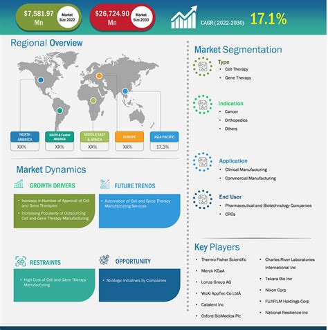 Cell And Gene Therapy Manufacturing Services Market 2030