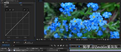 AE基础篇05调色基础 知乎