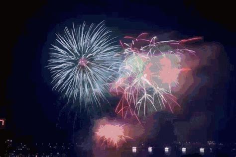 新年烟花动画gif 动态 gif动画烟花 第14页 大山谷图库