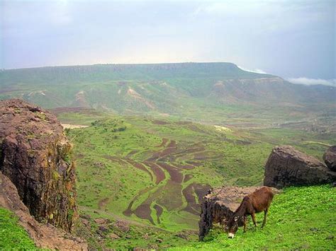 Adi Quala Eritrea Africa Art Design Africa Art Eritrea