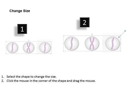0614 Chromosomes Medical Images For PowerPoint PPT Images Gallery PowerPoint Slide Show