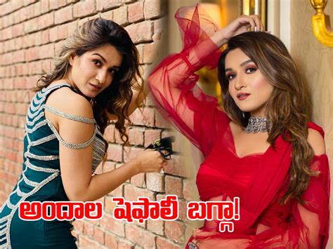 అదల షఫల బగగ