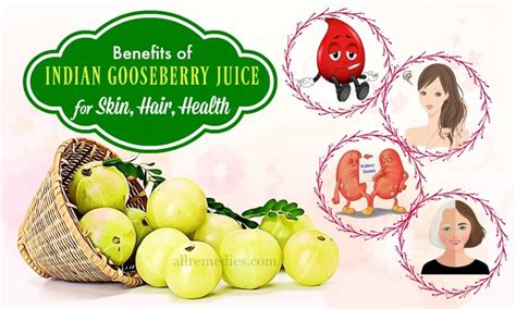 Top 45 Benefits Of Indian Gooseberry Juice For Skin Hair Health