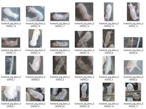 GitHub Chanheehi Split And Crop Images