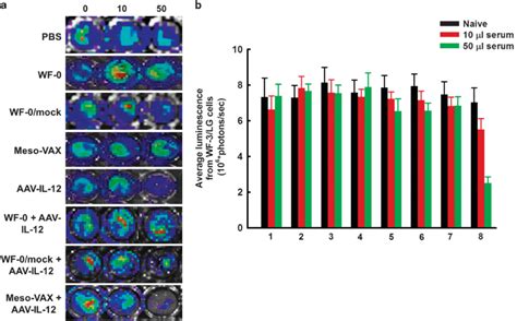 Mesothelin Specific Complement Dependent Cell Mediated Cytotoxicity Download Scientific Diagram