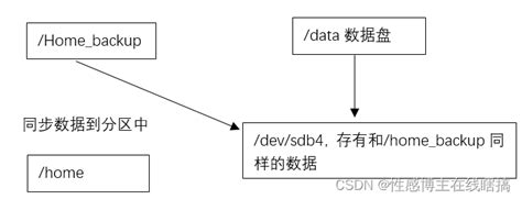 【linux】把home目录挂载到其他分区（数据盘 data等）下 linux将home目录挂载在其他盘 csdn博客