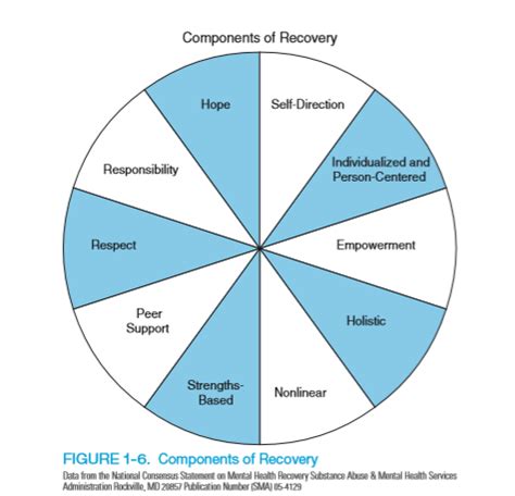 Chapter 1 Recovery Perspective Diagram Quizlet