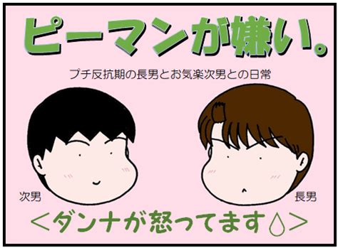 ピーマンが嫌いダンナが怒ってます もぽにゃのらぼらとり