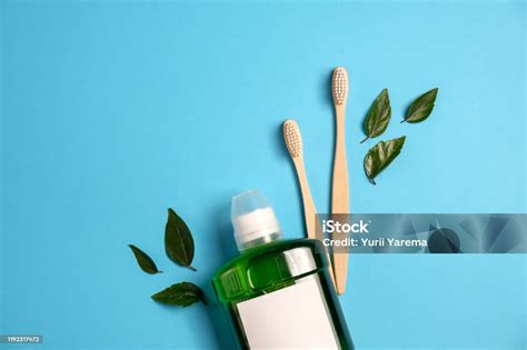 구강 관리 제품 구강 청결제 두 개의 나무 대나무 환경 친화적 인 칫솔 파란색 배경에 녹색 잎 치아 위생 개념 플랫 레이 복사