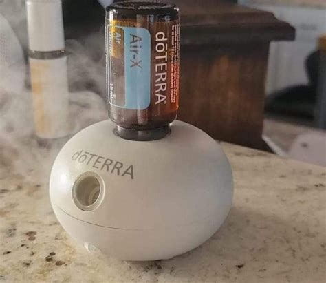 Pin By Patti Floyd On Eo Diffusers 2022 Perfume Bottles Bottle Perfume