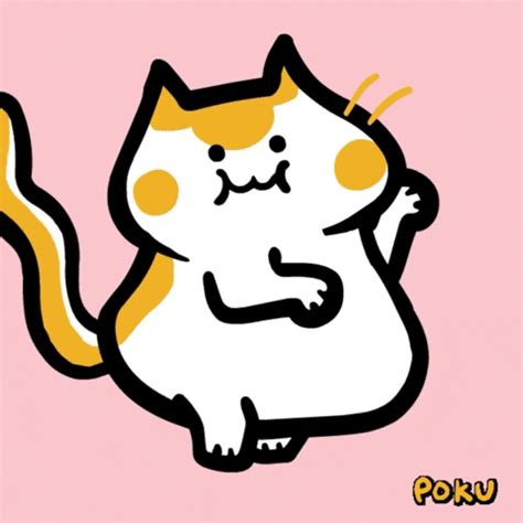 Dance Cat  By Poku Meow Find And Share On Giphy