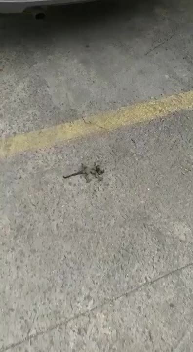 V Venkatesh Posted On Linkedin